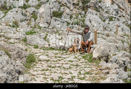 Spanish shepherd herdsman Spain herd shepherd's dog sheepdog Andalusia ...