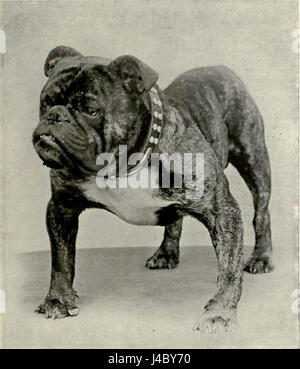 'Rodney Stone' is a novel by Arthur Conan Doyle, featuring a young man ...