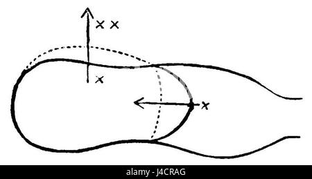 Abdominal wall and intestine movement in a prone position Stock Photo ...