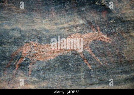 Rock Art San Bushman rock paintings Kamberg Nature Reserve Drakensberg ...