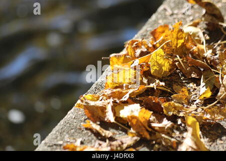 Fall at the river-walk in Naperville Stock Photo - Alamy