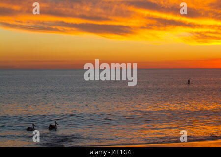 Adelaide, Australia. 11th May, 2017. A dramatic sunset develops over ...