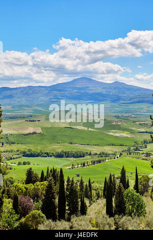 Tuscany landscape in springtime, Toscana, Italy Stock Photo - Alamy