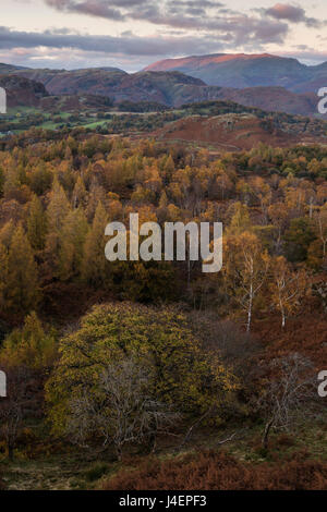 Holme Park Fell Cumbria UK Stock Photo - Alamy