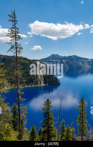 The still waters of Crater Lake, the deepest lake in the U.S.A., part ...