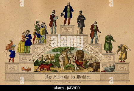 Stufenalter des Menschen 19Jh Stock Photo - Alamy