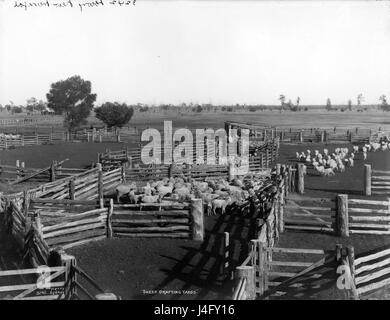 The Sheep Drafting Yards at the Powerhouse Museum showcase the ...