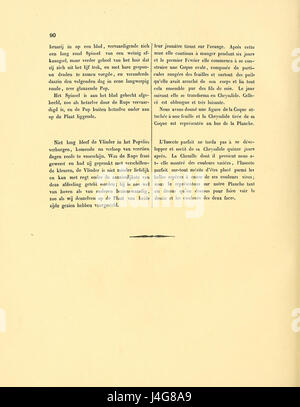 Sepp-Surinaamsche vlinders - pl 041 text1 Histioea cepheus Stock Photo ...