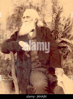 Sir John Robertson Stock Photo - Alamy