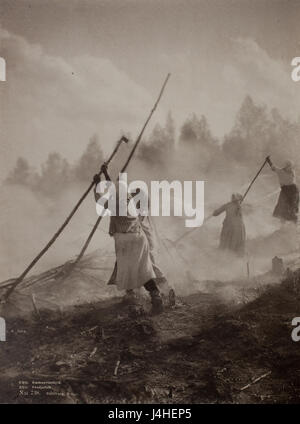 'Slash & Burn' deforestation. Slash and burn method of farming ...