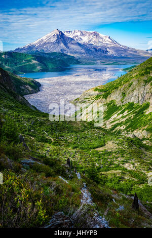 Spirit Lake and floating logs on the north side of Mount Saint Helens ...