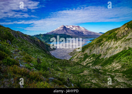 Spirit Lake and floating logs on the north side of Mount Saint Helens ...