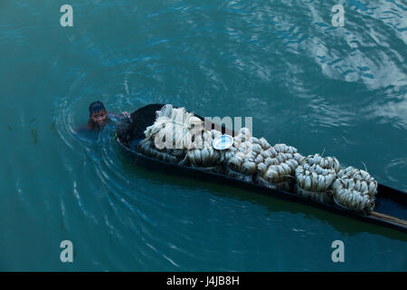 A palm tree boat also called donga carries jute fibres on a marsh in ...