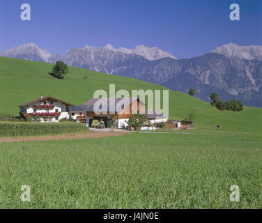 Austria, Tyrol, Running, Farm, Corn field, Karwendelgebirge outside ...