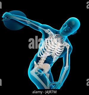 Skeletal structure of athlete throwing discus, illustration Stock Photo ...