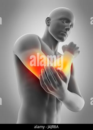 Illustration of the human elbow anatomy Stock Photo - Alamy
