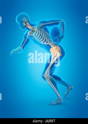 Skeletal structure of rugby player, illustration Stock Photo - Alamy