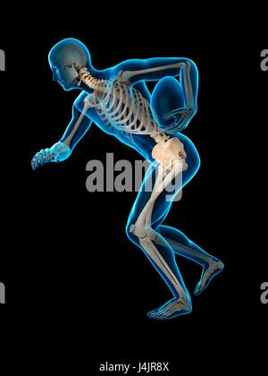 Skeletal structure of rugby player, illustration Stock Photo - Alamy