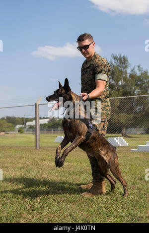 U.S. Marine Cpl. Robert Dienno, dog handler, Provost Marshall’s Office ...