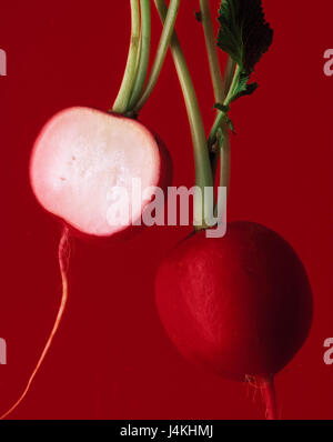 Radish (Raphanus sativus var. Radicula Pers.) - root garden plant, food ...