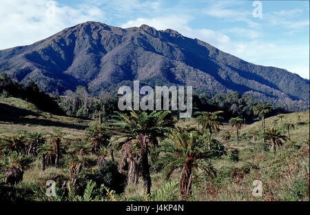 Mount Kerawa, Tari, Papua New Guinea, Papua New Guinea Stock Photo - Alamy