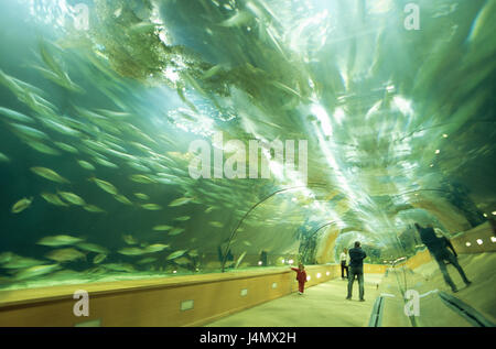 Inside Aquarium of the L'Oceanografic, Valencia Ciudad de las Artes y ...
