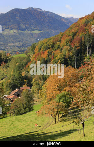 Germany, Bavaria, Upper Bavaria, Chiemgau, Inntal, Raubling, Inntal ...
