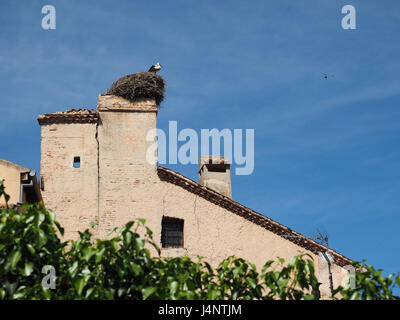 a stalk profile sitting on nest nesting in a chimney on the top tiled ...