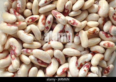 Scattered white motley haricot beans. Top view Stock Photo - Alamy