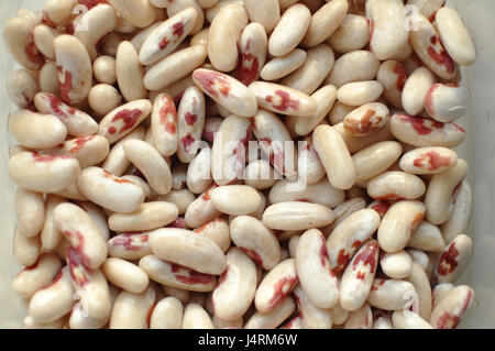 Scattered white motley haricot beans. Top view Stock Photo - Alamy