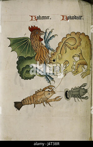 The 'Tudor Pattern Book' (MS. Ashmole 1504) is a manuscript featuring ...
