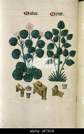 This Tudor pattern book, housed in the Ashmole Collection, offers a ...