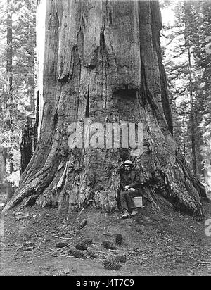 Eadweard Muybridge with his animals in motion images Stock Photo - Alamy