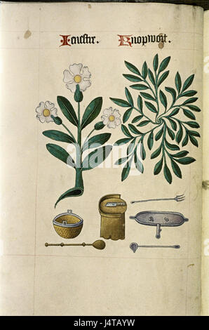 The Tudor Pattern Book, a manuscript from the 16th century, showcases ...