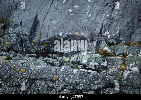 Cracks and fissures in rock Stock Photo - Alamy