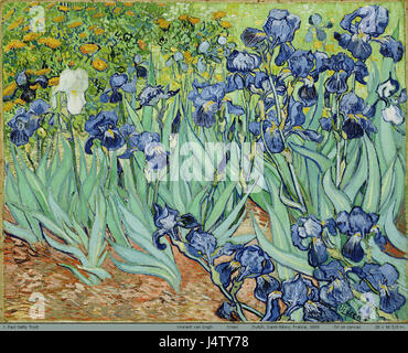 Vincent van Gogh’s 'Irises' (1889) is a vibrant portrayal of flowers ...