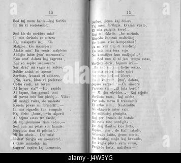 'Verkaro de Devjatnin' is a book written in Esperanto, with pages 46 ...