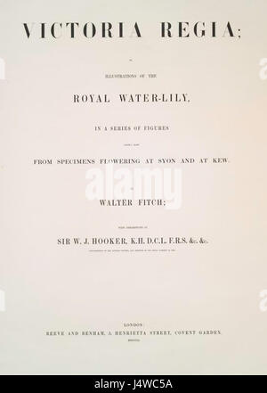 Water lily collectors Stock Photo - Alamy