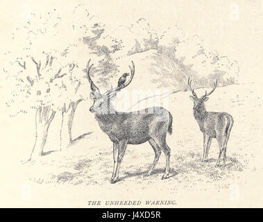 The Unheeded Warning Stock Photo - Alamy