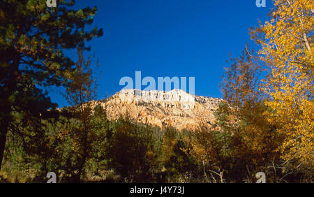 Dixie National Forest, Utah 9 13 Stock Photo - Alamy