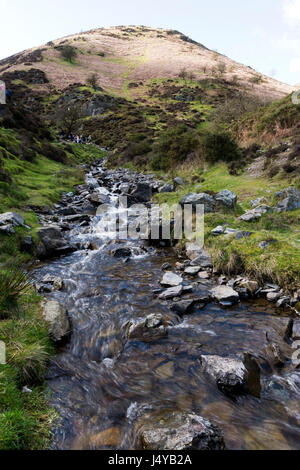 Lone tree in Carding Mill Valley a popular walking destination in the ...