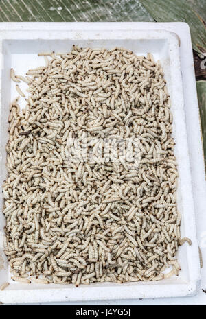 local people eating Luang Prabang Laos Stock Photo - Alamy