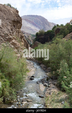 Ma'in Jordan Hot Springs Spa Resort Swimming Pool Stock Photo - Alamy