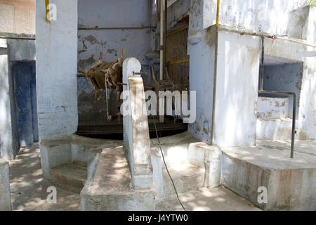 Shree tatiya sthan, mathura, uttar pradesh, india, asia Stock Photo - Alamy