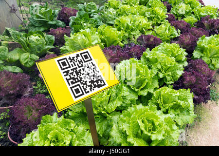 Smart agriculture, farm. Interactive QR Code Plant Tags & Signs and ...