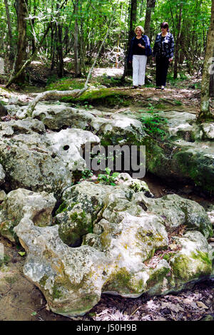 Alabama,St. Stephens,St. Stephens historic Site,former quarry,fossils ...