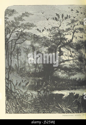 Illustrated work detailing the exploration of Africa, focusing on the ...