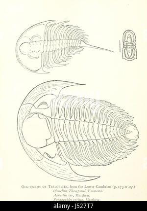 'Some Salient Points in the Science of the Earth' provides an overview ...
