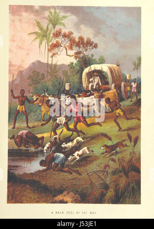 This work details travels and discoveries in Central Equatorial Africa ...