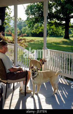 Two dogs rest on stone windowsill. One dog looks through old iron bars ...
